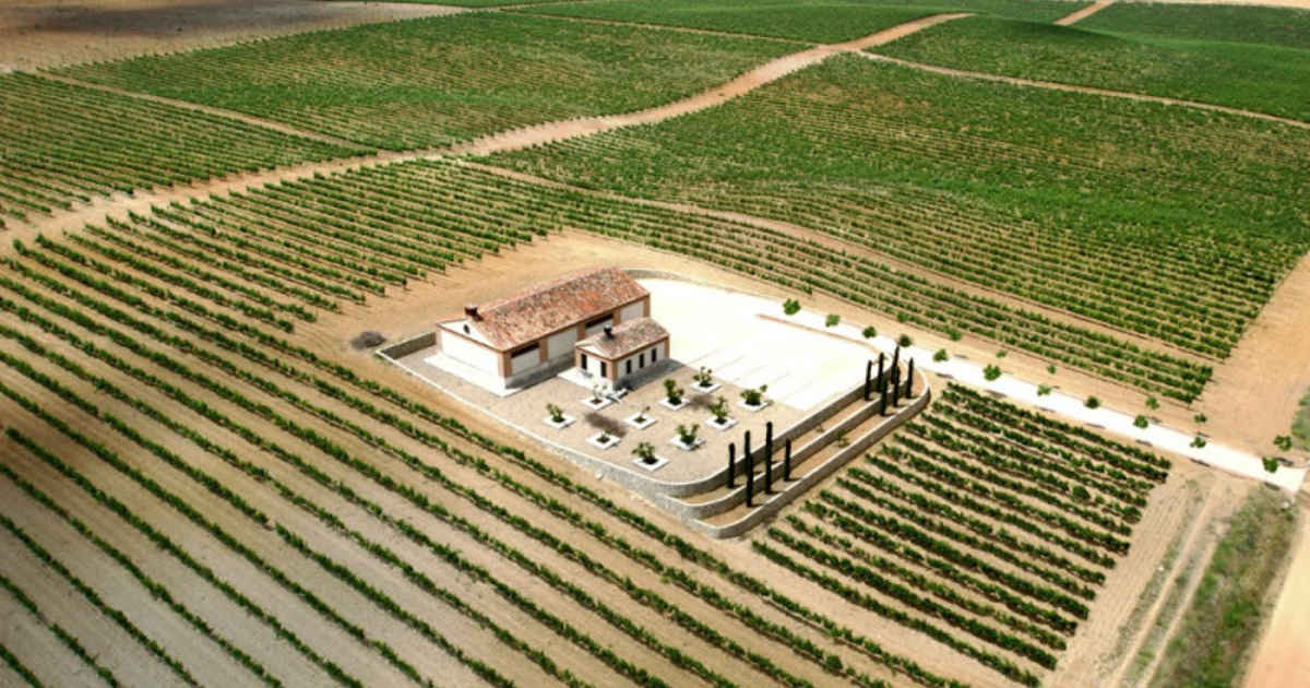 Bodegas Frontaura Spanje Toro Rode en witte wijn